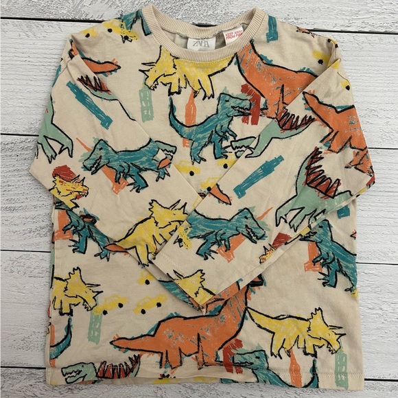 Zara | Shirts & Tops | Zara Kids Dinosaur Longsleeve Tee | Poshmark